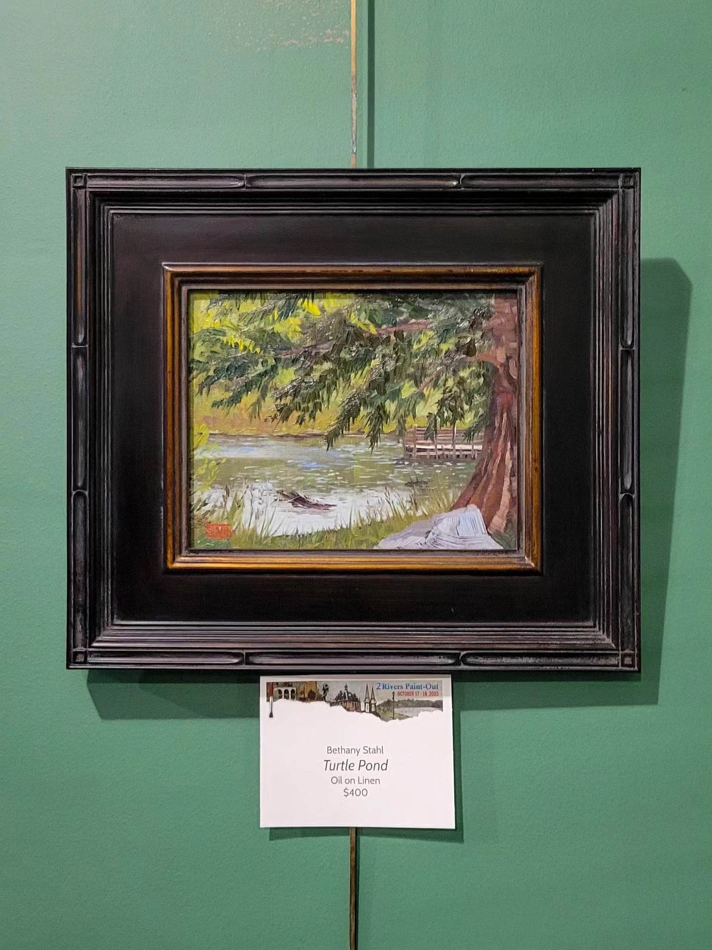 Turtle Pond – Bethany Stahl